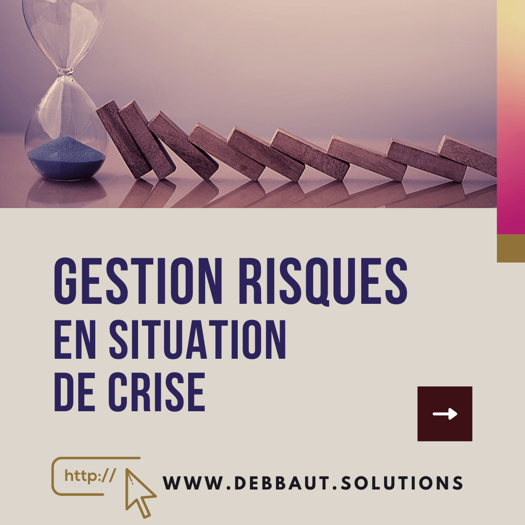 Gestion Risques en Situation de Crise — Elena Debbaut