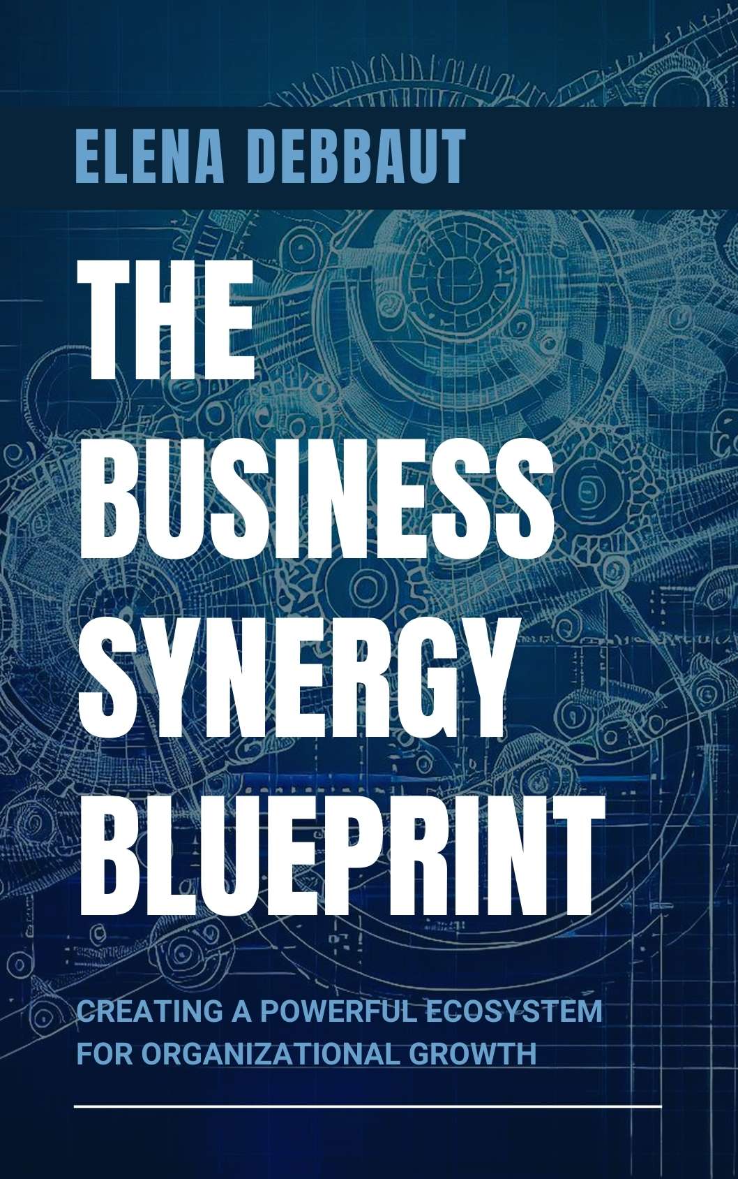 Business Synergy Blueprint – Guide to Organizational Growth